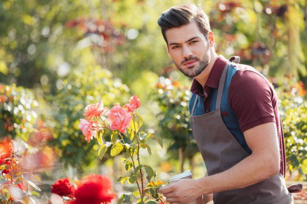 PHS Job 1853, Full Time Gardener / All-rounder Job, Live-Out Gardener ...